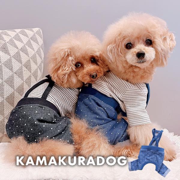 犬/犬服/犬の服/犬の洋服/ドッグウェア/ドッグ/ペット/ペット服/ペット用品/ペットグッズ/小型犬/小型犬用品/子犬/パピー/犬用ウェア/