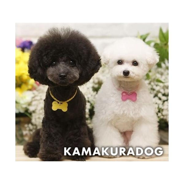犬/犬用/アクセサリー/犬のアクセサリー/ペット用品/ペットグッズ/小型犬/小型犬用品/子犬/パピー/