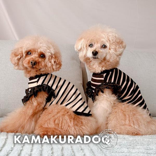 犬/犬服/犬の服/犬の洋服/ドッグウェア/ドッグ/ペット/ペット服/ペット用品/ペットグッズ/小型犬/小型犬用品/子犬/パピー/犬用ウェア/