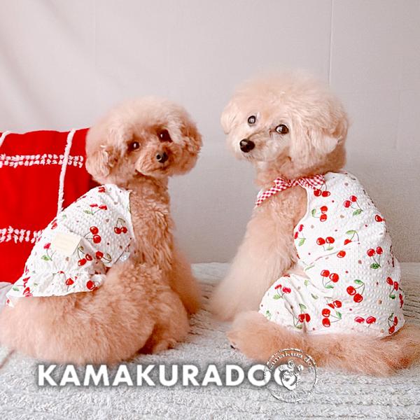 犬/犬服/犬の服/犬の洋服/ドッグウェア/ドッグ/ペット/ペット服/ペット用品/ペットグッズ/小型犬/小型犬用品/子犬/パピー/犬用ウェア/