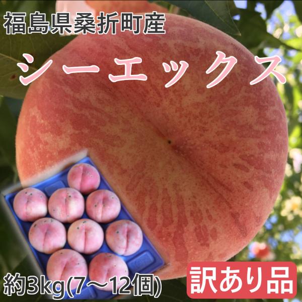 【発売日：2026年09月13日】【6年ぶり限定販売】降雹（ひょう）の影響による訳あり品です訳あり品となる規格外の桃は数量が予測できず、例年は地域の直売所でのみ販売していますが、今年はいつもより多くの規格外が発生する見込みのため、今季に限り...