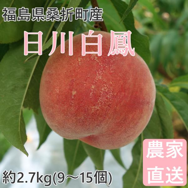 【発売日：2026年07月01日】朝採りの桃をその日のうちに農家直送でお届けします。■商品特徴・「日川白鳳」は、全国的に流通量が多く、人気のある早生品種です。・簡易的な包装の果物用ダンボールでお届けします。訳あり品ではございません。・納品書...