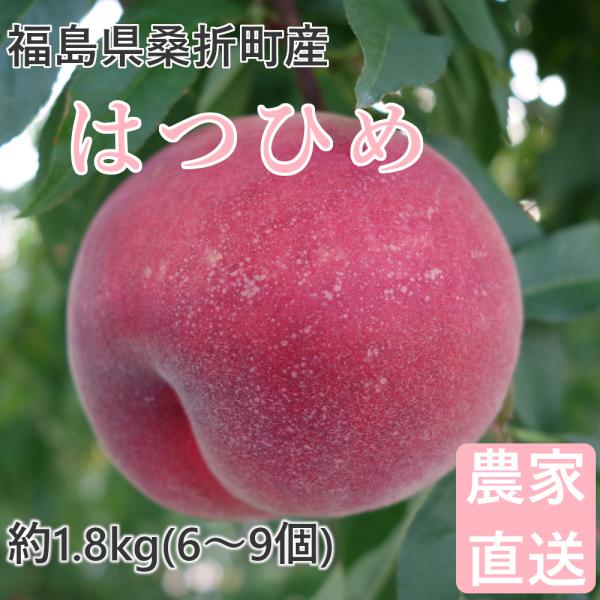 【発売日：2026年06月27日】朝採りの桃をその日のうちに農家直送でお届けします。■商品特徴・「はつひめ」は、福島県でのみ生産可能な、なめらかな肉質を持つ品種です。・簡易的な包装の果物用ダンボールでお届けします。訳あり品ではございません。...