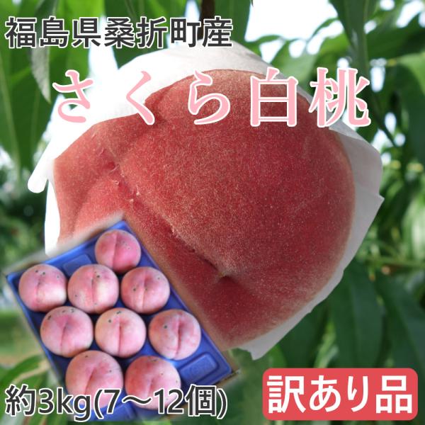【発売日：2026年09月01日】【6年ぶり限定販売】降雹（ひょう）の影響による訳あり品です例年は地域の直売所でのみ販売していますが、今年はいつもより多くの規格外が発生する見込みのため、今季に限り販売します。実が小さい時期に雹が当たったため...