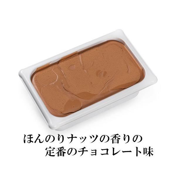 【冷凍】業務用 ジェラート チョコラータ 2L |Gelato cioccolato チョコレート chocolateチョコラータ