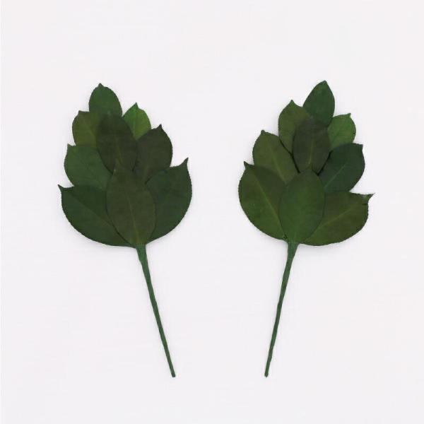 ◆配送方法をお選びください◆メール便送料は自動計算となりませんのでご注文後訂正させていただきます。メール便はクレジットカードおよび銀行振込のみのご対応とさせていただきます。予めご了承の程お願いいたします。※必ず、メール便または通常便をお選び...