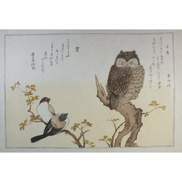 【発売日：2018年10月17日】