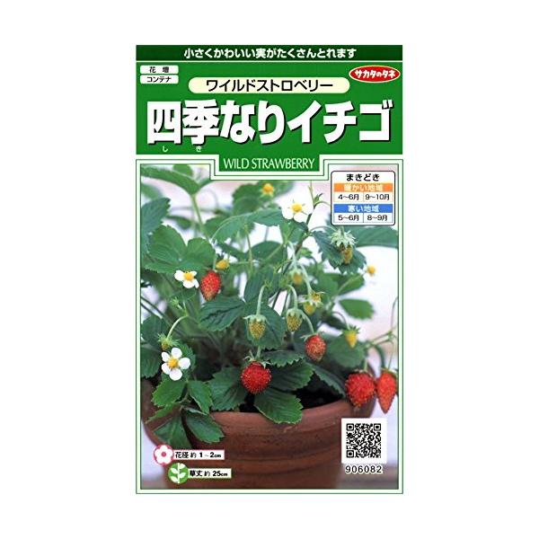 詰量:0.1ml発芽率:70%採苗本数:100まきどき:春・秋DIY・工具・ガーデン/ガーデン/種・苗/種/花