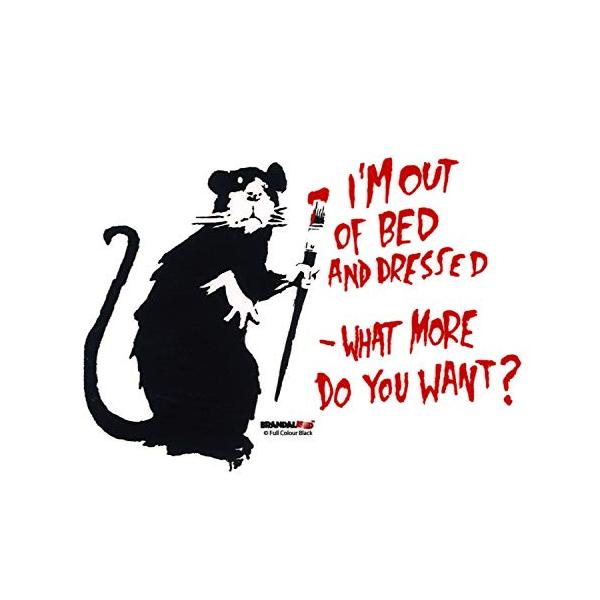 Full Colour Black社によるグラフィティアートプロジェクトバンクシーの作品を忠実に再現した透明素材のステッカーこちらの商品は耐水、耐光性のあるステッカーです本体サイズ：約H12.7cm*W17.6cm　製造国：日本BRANDA...