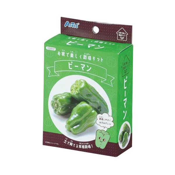 土で育てる野菜の栽培キットセット内容：プラ皿、ジョーロキャップ、圧縮土、種DIY・工具・ガーデン/ガーデン/種・苗/栽培キット
