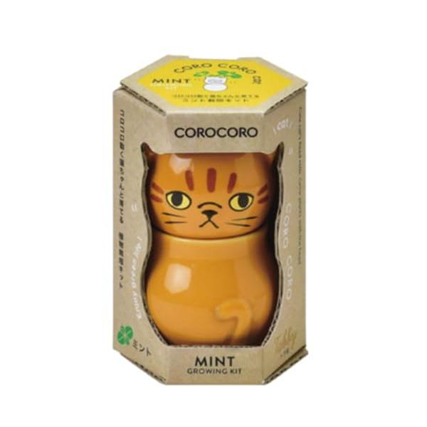 How to grow：1.種をまいて水をためる 2.成長する 3.コロコロ転がして楽しむ/体の側面には、エンボス加工でしっぽが付いているよ!/植物の色・形・サイズには個体差がありますので予めご了承ください。DIY・工具・ガーデン/ガーデン...