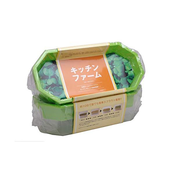 もやし スプラウト 栽培容器　キッチンファーム250 2個セットDIY・工具・ガーデン/ガーデン/種・苗/栽培キット