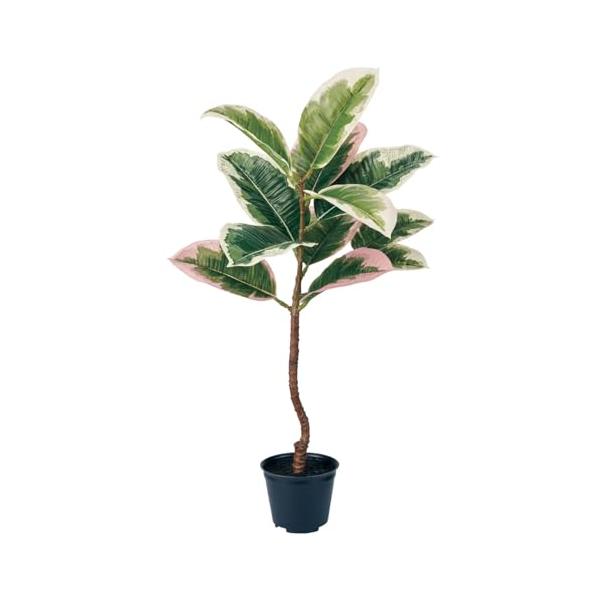 色:GREENサイズ:W25*H50cm 鉢Φ9*H7.5cm素材:EVA ステム/ポリエチレン 鉢材質/プラスチック製入数:1鉢形状:鉢物DIY・工具・ガーデン/ガーデン/鉢・プランター用品/鉢