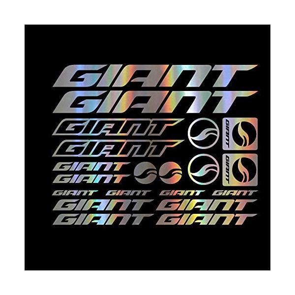 KIT GIANT ADESIVI BICIステッカーBIKE MTB BDC BICICLETTA PRESPAZIATI用 (Silver)車＆バイク/カーアクセサリ/ステッカー・デカール/デカール