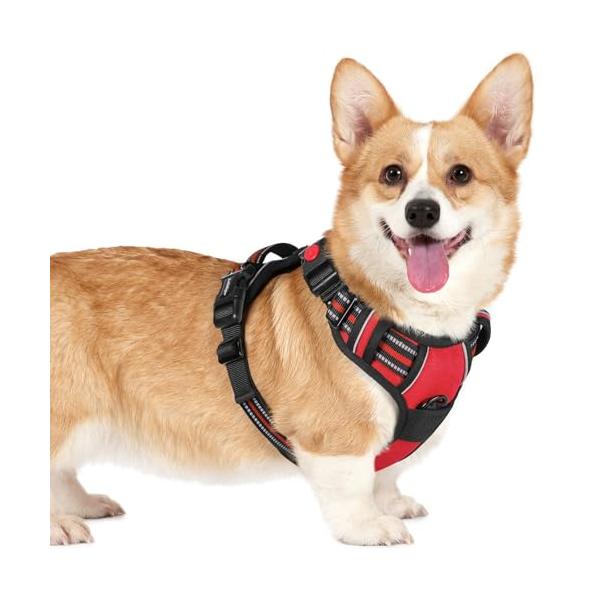 ぴったりフィット感を実現：四ヶ所に調整可能な部分があり、ほとんどの犬種に適応し、自由な動きを確保しながらフィットします。首回りと胴回りにそれぞれ2つのストラップが付いているので、急成長期の犬のために特別に作られました。着脱が楽で使いやすい：...