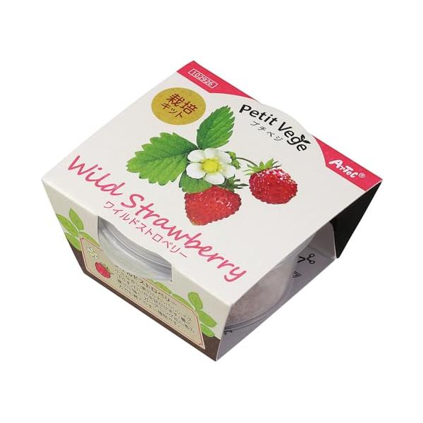 初心者でも簡単に育てられるミニサイズの栽培キットセット内容：プラ容器、圧縮土、種DIY・工具・ガーデン/ガーデン/種・苗/栽培キット