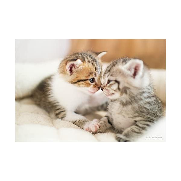 300ピース猫写真ジグソーパズルおもちゃ:パズル:ジグソーパズル