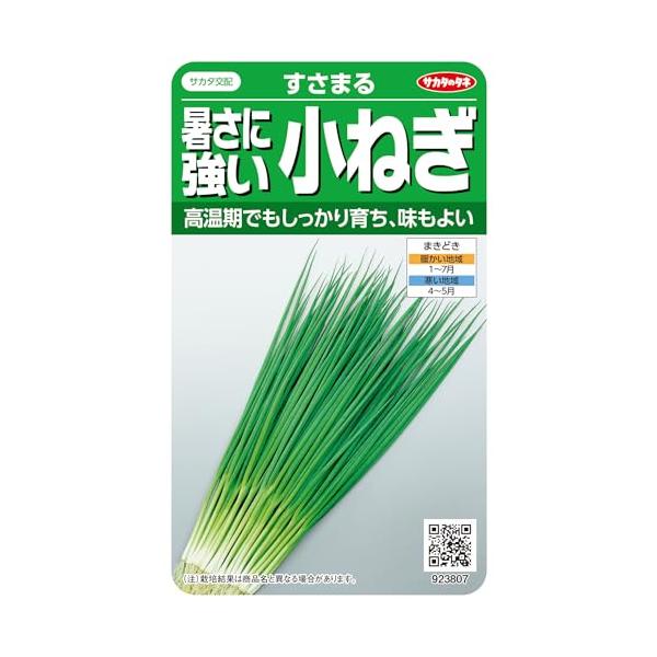 種DIY・工具・ガーデン/ガーデン/種・苗/種/野菜