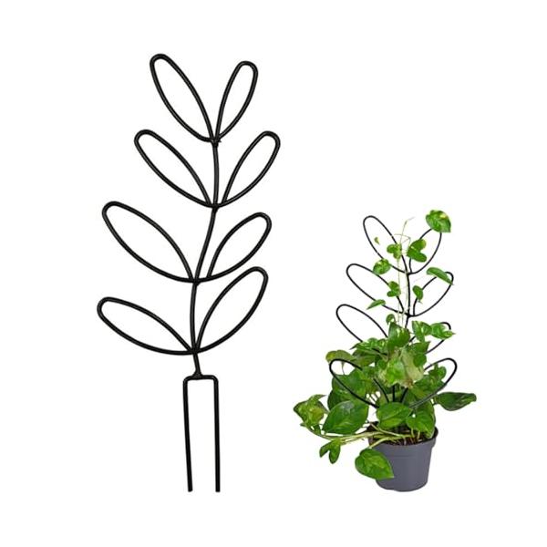 *セット内容：植物支柱1セット、サイズ：約14.5*31.5cm。 寸法は人工測定で誤差がある場合がありますのでご了承ください。 カラー：ブラック。*素材：錆びにくい合金素材で作られており、必要に応じて曲げることができ、形状を変えることがで...