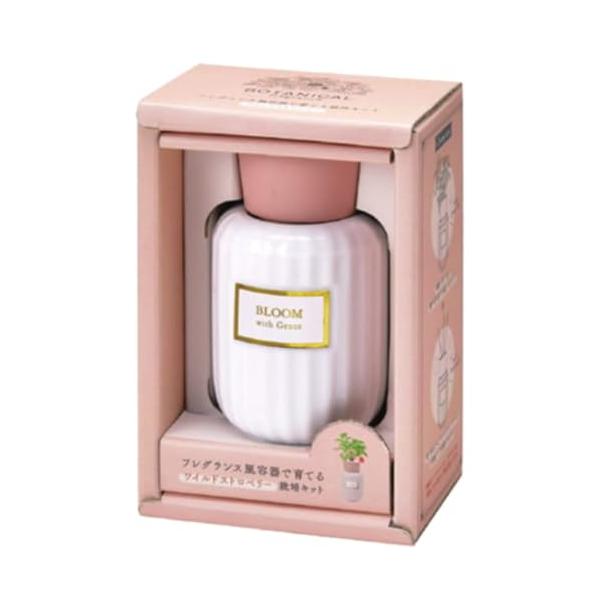 How to grow：1.水をためる 2.種をまく 3.成長する/栽培後は市販のスティック・フレグランスオイルと合わせてリードディフューザー容器として使用できます。/植物の色・形・サイズには個体差がありますので予めご了承ください。DIY・...