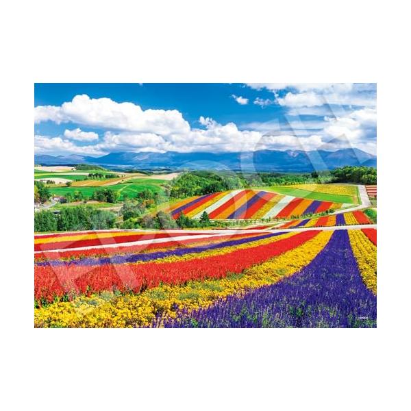 ピース数：2000SS完成サイズ：38*53cm　対応パネルナンバー：5-B2000スーパースモールピースのジグソーパズル 商品を完成させると38*53cmになります  パネルNo.5-B 写真：エムオーフォトス/アフロおもちゃ/パズル/ジ...