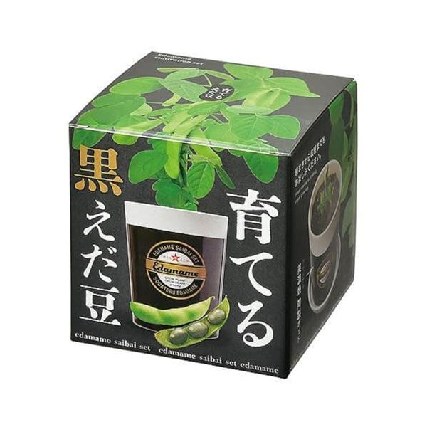 取説 日本語/英語 DIY・工具・ガーデン/ガーデン/種・苗/栽培キット