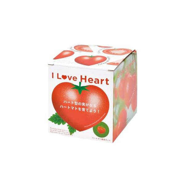 種まきから約2*3ヶ月で黄色の小さな花が咲き、そのあとに実ができます。/植物の色・形・サイズには個体差がありますので予めご了承ください。DIY・工具・ガーデン/ガーデン/種・苗/栽培キット