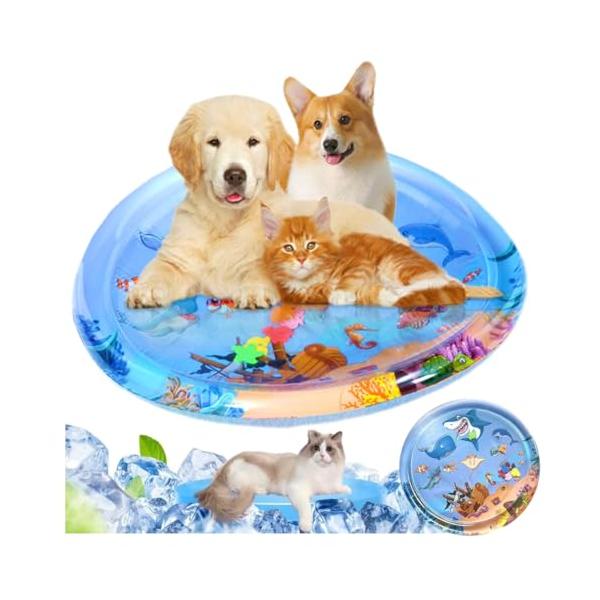 * 猫 犬 ウォーターベッド 夏 クールな快適さ：ユニークなリラクゼーション - 猫用センソリーウォーター プレイマットで、遊び中にユニークなレベルのリラクゼーションと快適さを体験してください。涼しい感覚を与え、楽しさと関わりを高め、遊びの...