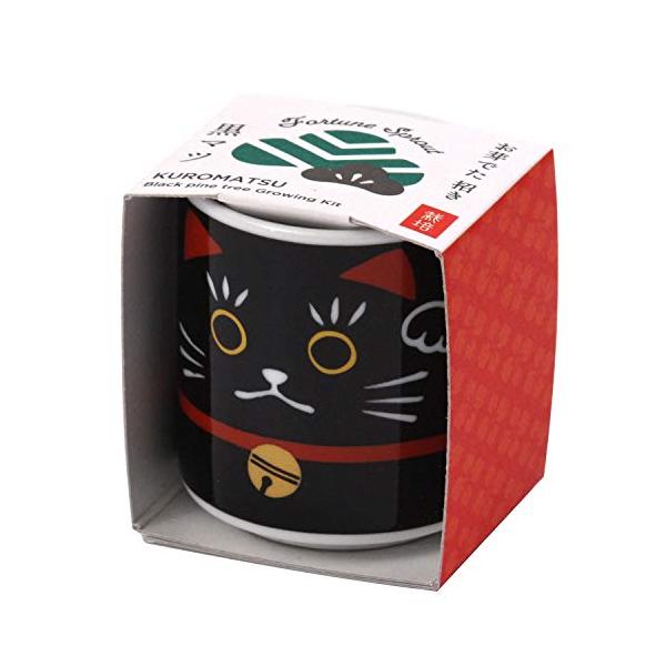 商品サイズ:約4.3*4.3*4.8cmセット内容:おちょこ(陶器),土,種,説明書*各1「招き猫」のおちょこで縁起のよい黒松を育てる栽培セット 黒松 荒々しい樹皮は灰黒色太くて硬い葉と幹が特徴栽培の際は説明書をよくお読みくださいDIY・工...