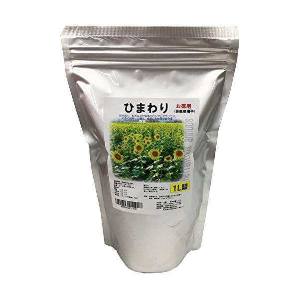 草丈2m近くになる大型のヒマワリです。休耕田などの景観形成作物としても利用可能。群生させると迫力満点! です。日当たりが良く、水はけの良い土壌を好みます。休耕田の場合は畝立てするなど、排水性の向上が必要です。播き時:発芽適温、生育適温ともに...