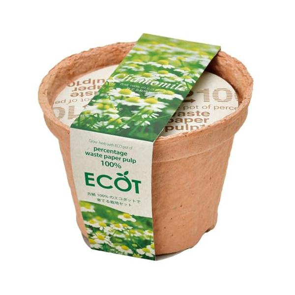 SDIY・工具・ガーデン/ガーデン/種・苗/栽培キット