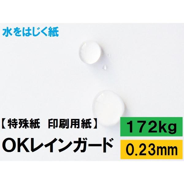 【商品情報】■商品名　　OKレインガード■連量　　　172kg■厚さ　　　約0.23mm■メーカー　王子エフテックス■その他　　水をはじく撥水紙です。　　　　　　水をはじく紙ですが、印刷可能で筆記性も良いです。■注意事項　モニターの発色の具...