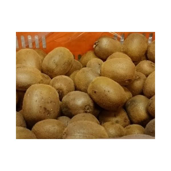 現在発送しているものはかなり小粒タイプです。当店の契約農家直送です。毎年、好評の一品です。大きさ、形は不揃いですがその分とてもお買得になっております。是非、ご賞味下さい。生産者が愛情を持って育てたキウィです。(注）キウイフルーツは１０月〜１...