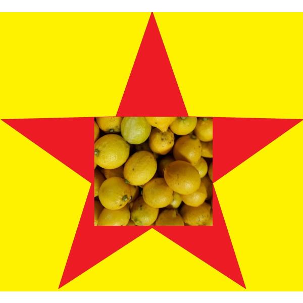 【発売日：2026年03月09日】大変貴重な『無農薬レモン』です！皮キズのあるものも多少混じりますが、ご使用には問題ございません。ノーワックス並びに防腐剤不使用ですので安心してお使いいただけます。≪下記必ずお読み下さい≫当店では出荷時に検品...