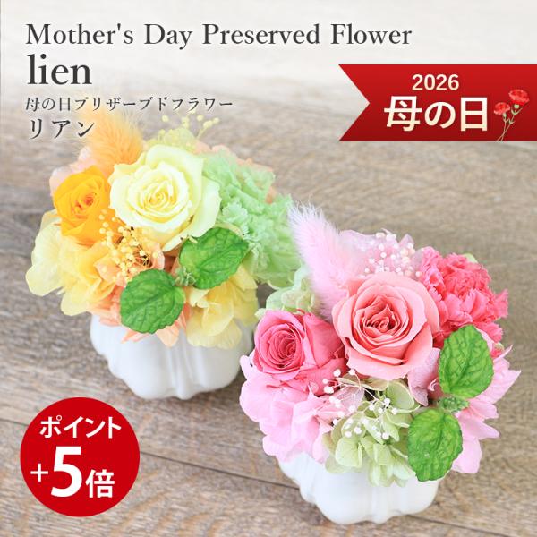 【発売日：2026年02月01日】「プリザ銀座」は銀座花門がおすすめする遊び心のある自由なプリザーブドフラワーです。お水のいらないプリザなら、プレゼントにも最適。長い間お楽しみいただけます。フェミニンな雰囲気の陶器の器に、明るく優しく色合い...