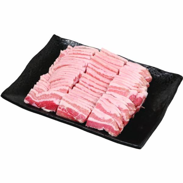 ■商品説明上州三元もち豚は豊かな自然の中、原料を吟味した安全な飼料を配合し、衛生的な環境のもとでじっくりと育てられました。きめ細かな肉質で、クセがなくあっさりとした味わいです。■商品詳細製造生産地：群馬県内容：バラ600g賞味期間：製造日よ...