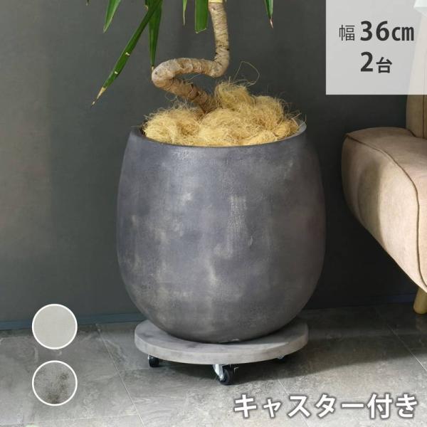 ■商品説明●植物が主役になる、静かな存在感●落ち着いた色味のグレー・ホワイトの2色展開。●セメントならではの重厚な質感が、植物の美しさを引き立てます。●なめらかに動くキャスター付きで移動も簡単。毎日の水やりや日当たり調整もらくにできます。・...