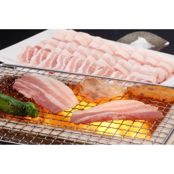 ■商品説明高級ブランド豚「認定山形豚」バラ焼肉用きめ細やかでしまりのある肉質とジューシーで甘み豊な脂が特徴です！奥羽の山々から流れる雪解けの清流と、作り手の熱い想いが極上の美味しさを育てました。山形県食肉公社の独自基準により厳選された豚だけ...
