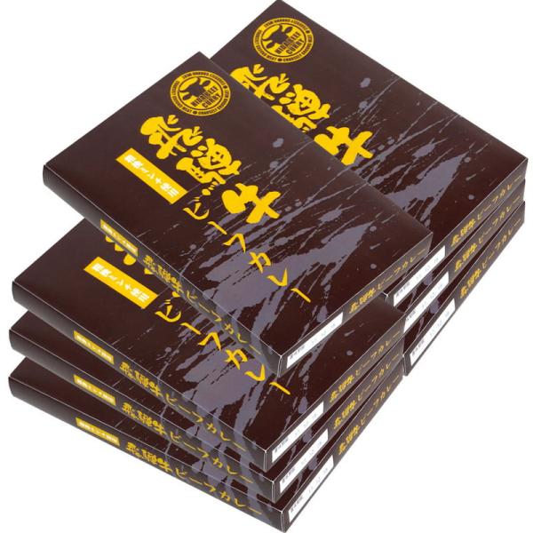 ■商品説明岐阜県飛騨地方を主に豊かな自然の中で育つ飛騨牛は全国的にも有名な銘柄牛です。その肉は筋肉繊維が細かく、食感が柔らかいのが特徴です。素材の旨みをカレーと共にお召し上がりください。■商品詳細製造生産地：滋賀県（牛肉）内容：レトルトカレ...