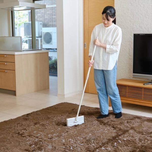 ■商品説明●ヘッドのブラシがカーペットの奥に入り込んだ毛をかき出す！■商品詳細使用サイズ：幅255x奥行116x高さ720〜1170mm重量：425g素材：ハンドル（グリップ）/ポリエチレン、ハンドル（パイプ）/スチール（ポリプロピレン被膜...