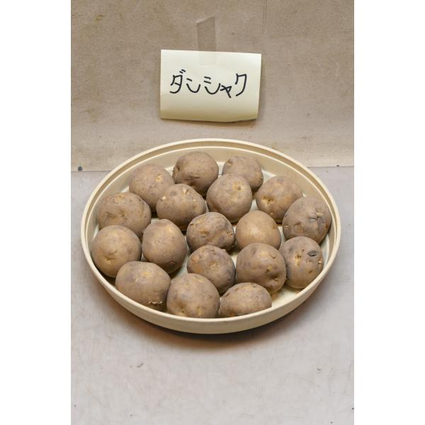 ジャガイモの種芋の量り売りです。ジャガイモらしい味の定番品種です。