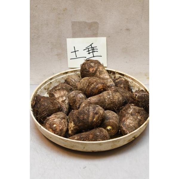 里芋の中でもっとも一般的な品種です。全国で栽培され、保存性も良い品種です。