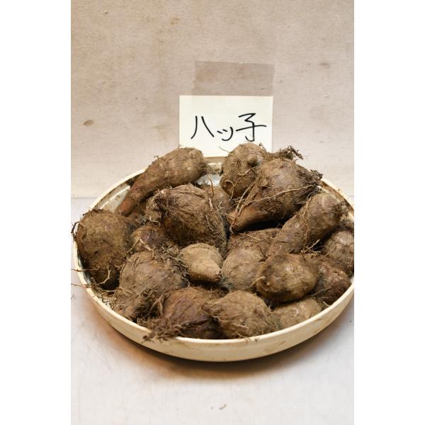 八つ頭は親芋と子芋がくっついている里芋です。一般的な里芋と比べると粘りが少なくホクホクしています。