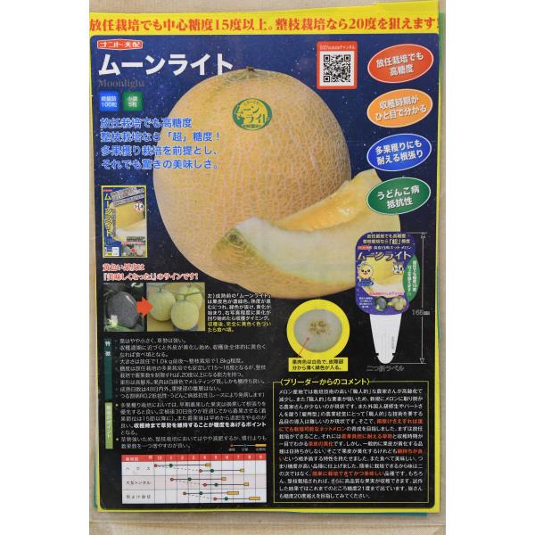 メロン　ムーンライトはネット系のメロンで、完熟させてから食べると糖度が高く香りも良い品種です。9cm〜10.5cmポリポット