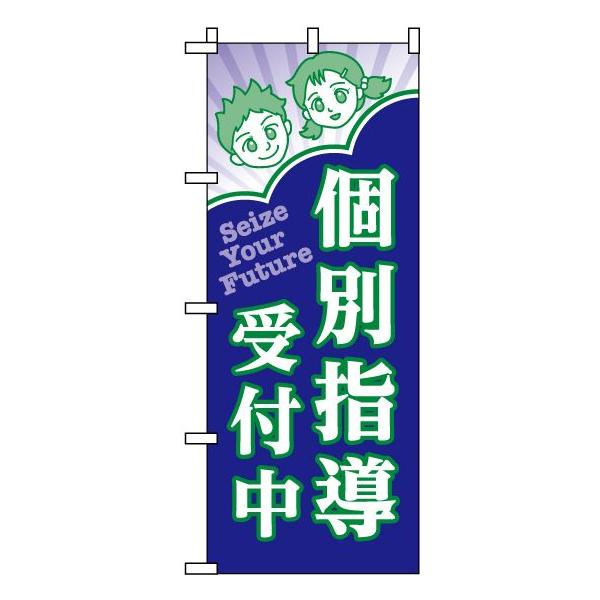 個別指導塾生徒募集PRに！学習塾やスクール 教室PRにおすすめ！店頭 売り場の賑やかし、メニューPRならのぼり旗がお気軽＆最適！