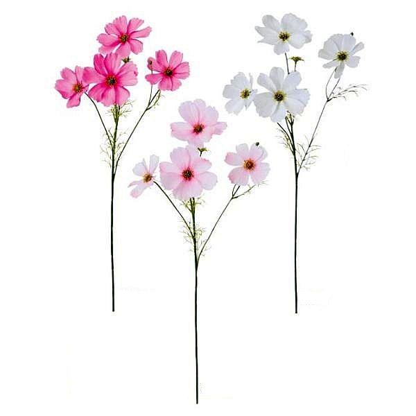 花が大きめのコスモス。4輪付。秋のフラワーアレンジ、ディスプレイに。※花びらが柔らかく画像程度にヨレております。あらかじめご了承下さい。※茎を曲げて梱包する場合がございます。簡単に戻りますのでご了承願います。花径：約7.5〜9cm　4輪付き...