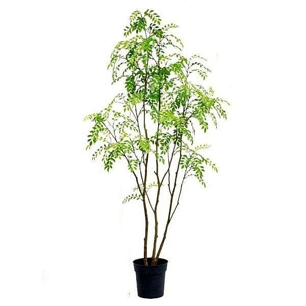 ※代引き不可商品です。ご注意下さい。フェイクグリーンのシマトネリコ。150cmサイズ。鉢は簡易ポットとなります。お好みの鉢（鉢カバー）に入れてお飾り下さい。（簡易ポットのままでも使用可能です）高さ：約152cm花器：簡易ポット H18cm,...