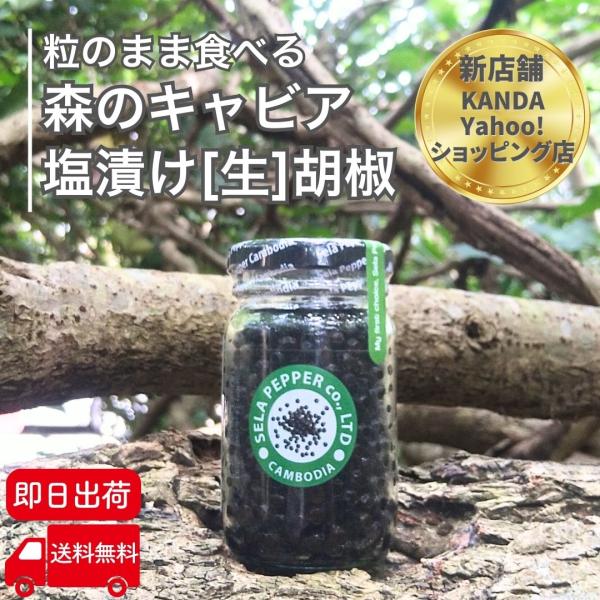 カンボジア産最高級胡椒を、現地の天日塩で塩漬けにしました、こだわり抜いた品質をKANDAが農地からお客様のお手元まで一元管理して責任をもってお届けいたします。名称 KANDA 塩漬け生胡椒原材料名 コショウ、天日塩内容量 71g賞味期限 製...