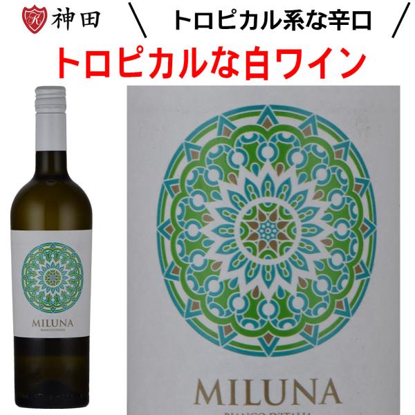 南イタリア特有のパイナップルやマンゴーを思わせるトロピカル系のフルーツの果実味が特徴です。非常にバランスが良くCPに優れたワインです。原産地呼称の関係でプーリアを名乗ることはできませんが、マルヴァジーア・ビアンカ、シャルドネ、ボンビーノとプ...