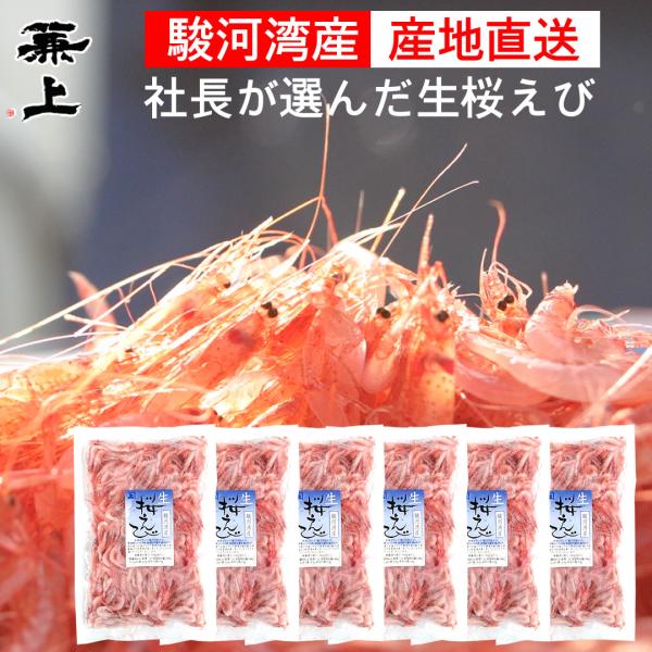 兼上 生桜えび 駿河湾産 100g×6袋 由比港水揚げ お刺身■商品特徴由比港で水揚げされた鮮度よい桜えびを急速冷凍しました。トレイを使わずそのまま袋詰め。薄いため冷凍庫に入れても場所をとらず、流水解凍ですぐに解凍できます。お刺身、かき揚げ...